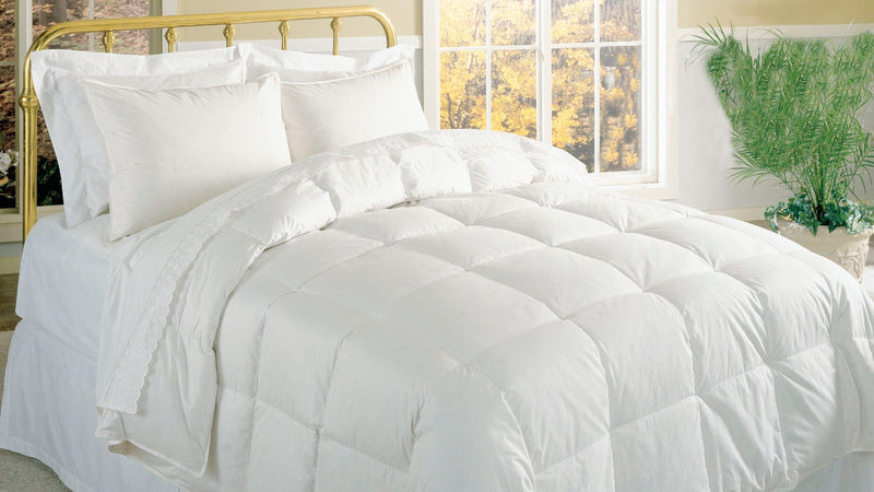 Laytner's Linen & Home